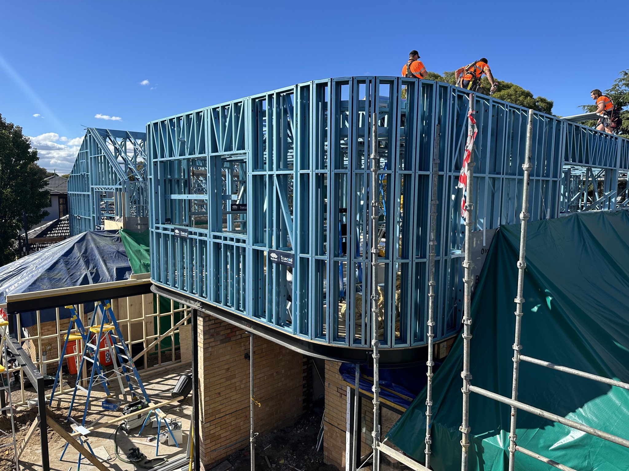 The year of the curve - Dynamic Steel Frame